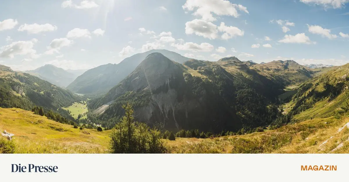 Körperliche Arbeit auf der Alm ist gut für die Gesundheit – DiePresse.com Körperliche Arbeit auf der Alm ist gut für die Gesundheit – DiePresse.com